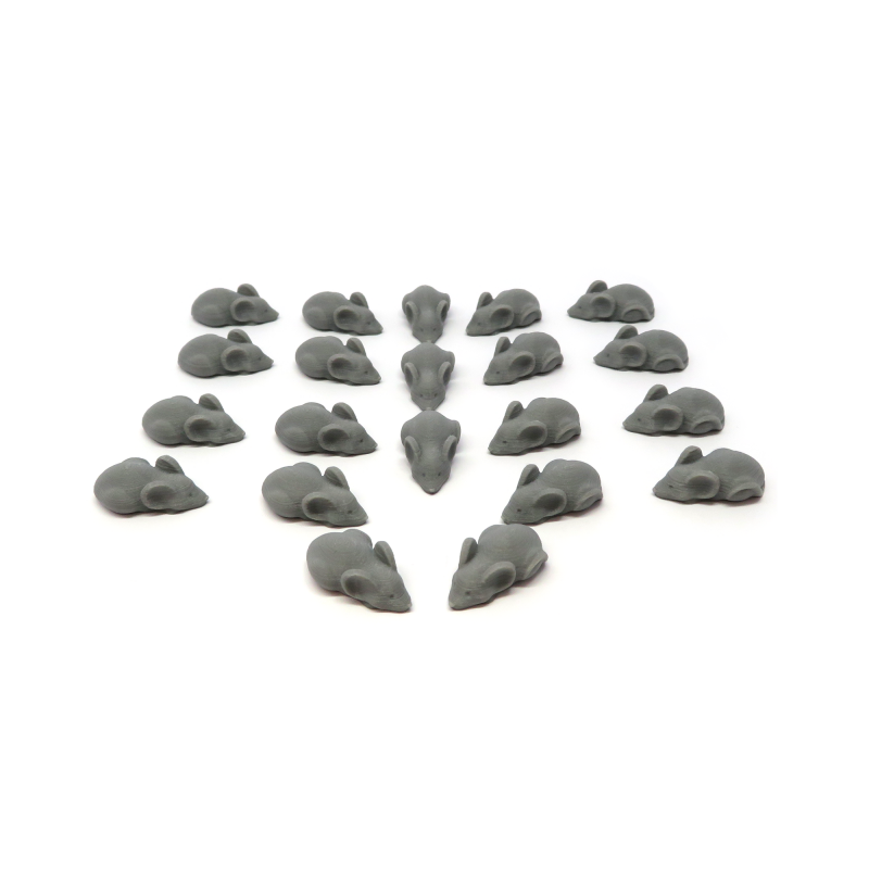 Upgrade kit for Wingspan - 214 Pieces. Accessories for your board game